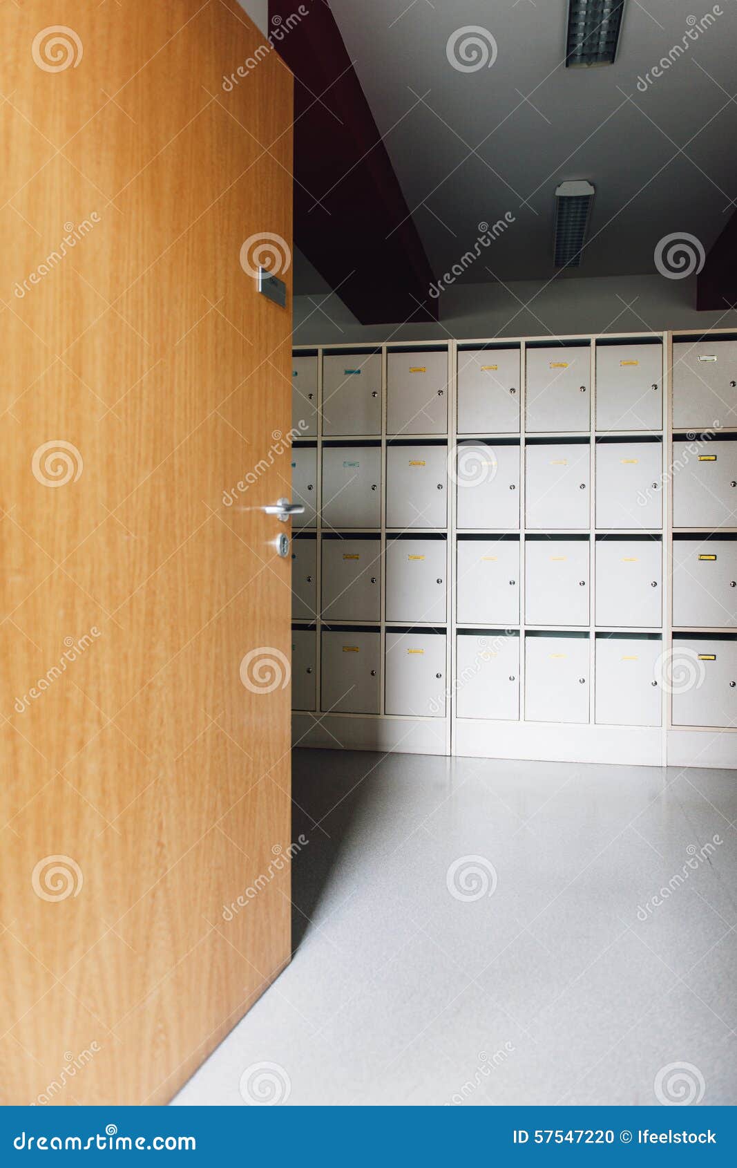 Student Lockers University School Campus Hallway Storage Locker Royalty ...