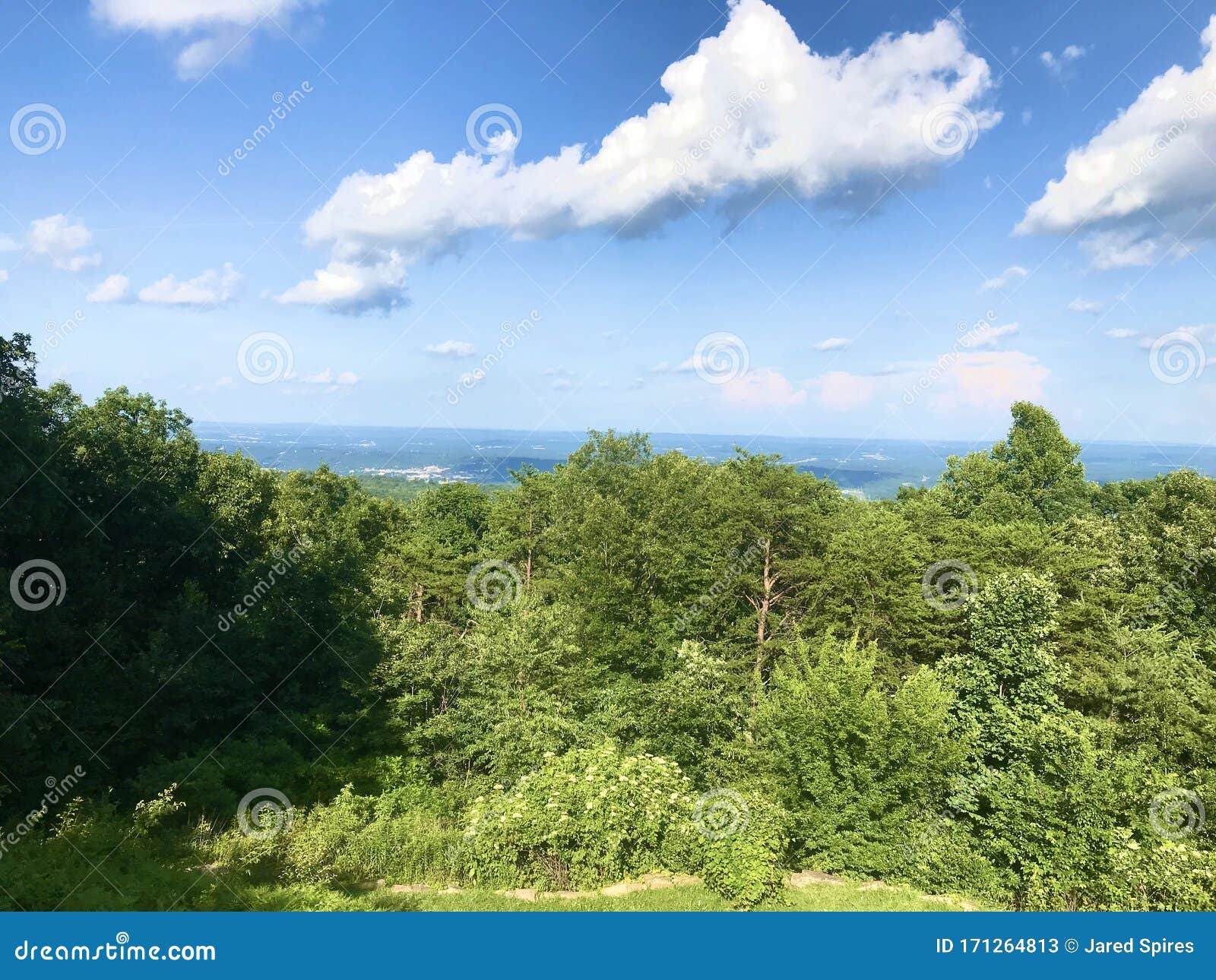 High shot of woods stock image. Image of forested, area - 171264813