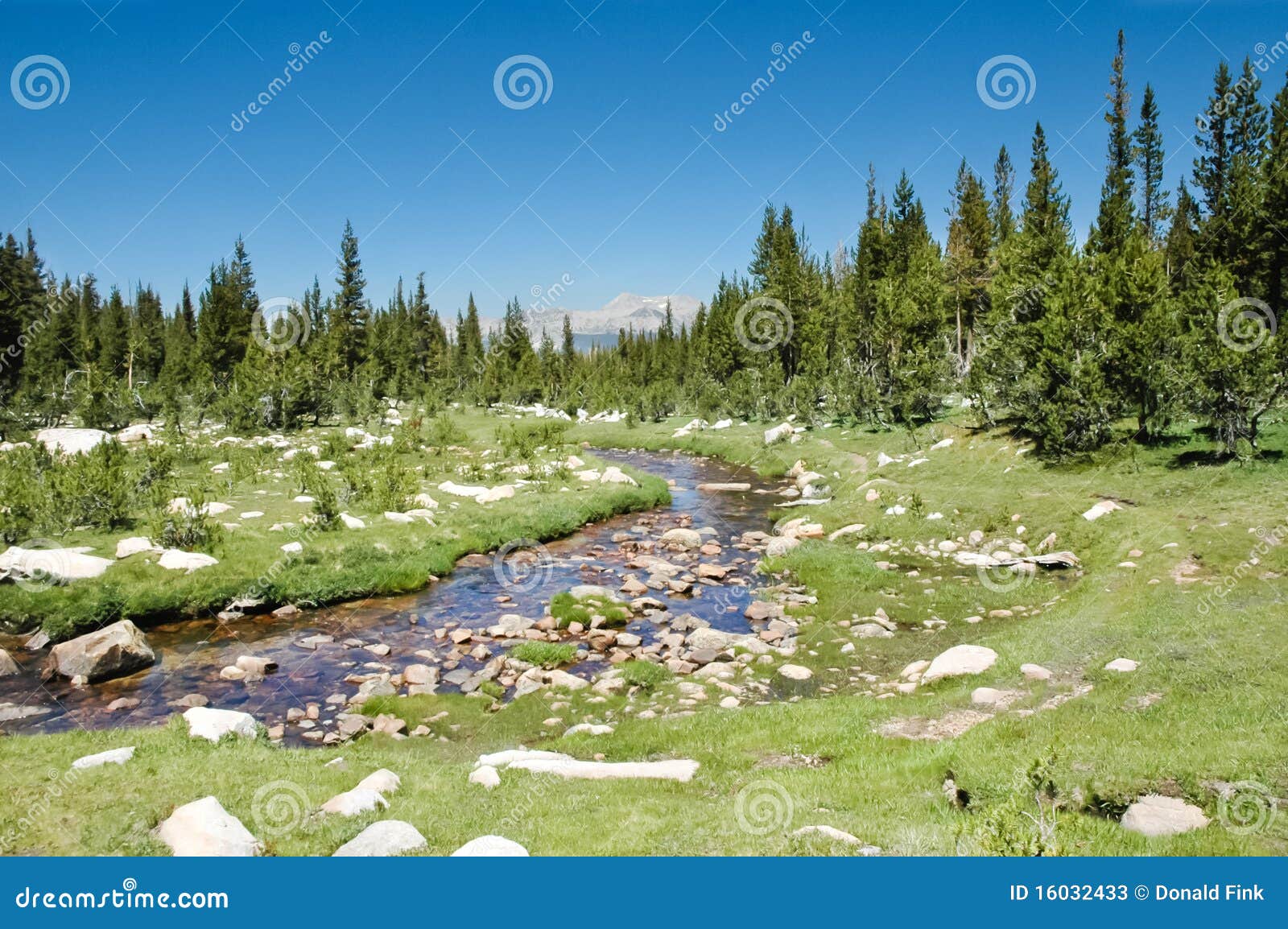 High Sierra Stream stock image. Image of park, california - 16032433