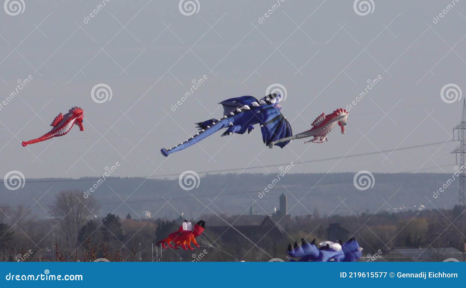 Kites soar high in the sky stock video. Video of outdoor - 219615577