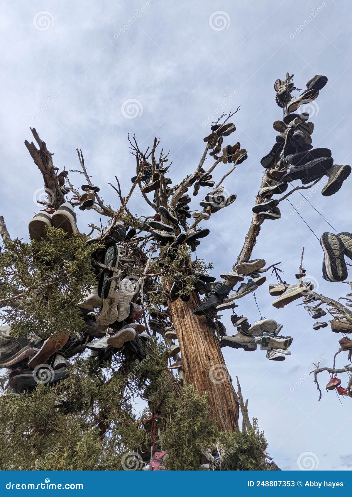 High in the Sky Like a Shooting Rainbow Editorial Stock Photo - Image ...