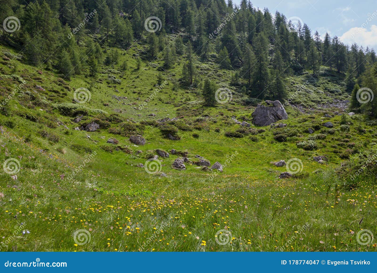 A High Slope Covered with Greenery, Trees and Large Cobblestones. Great ...