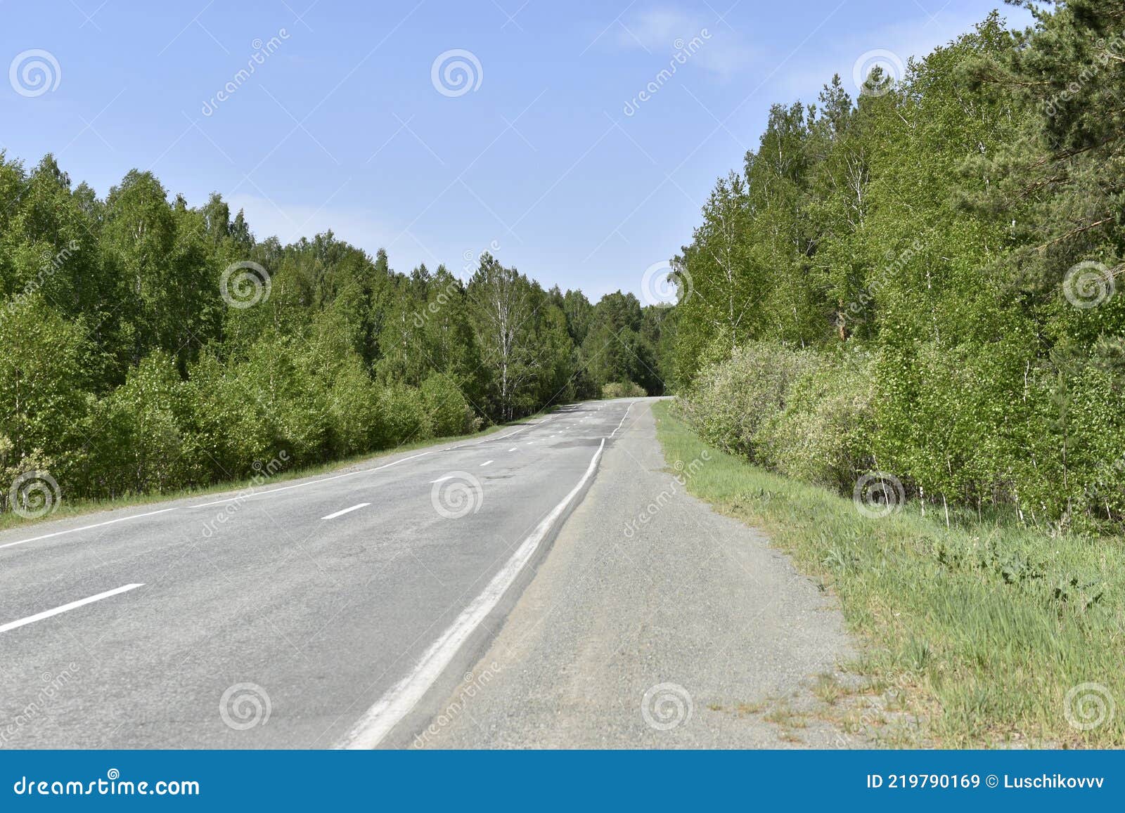 High Speed Asphalt Road Highway in the Afternoon in the Forest Stock ...