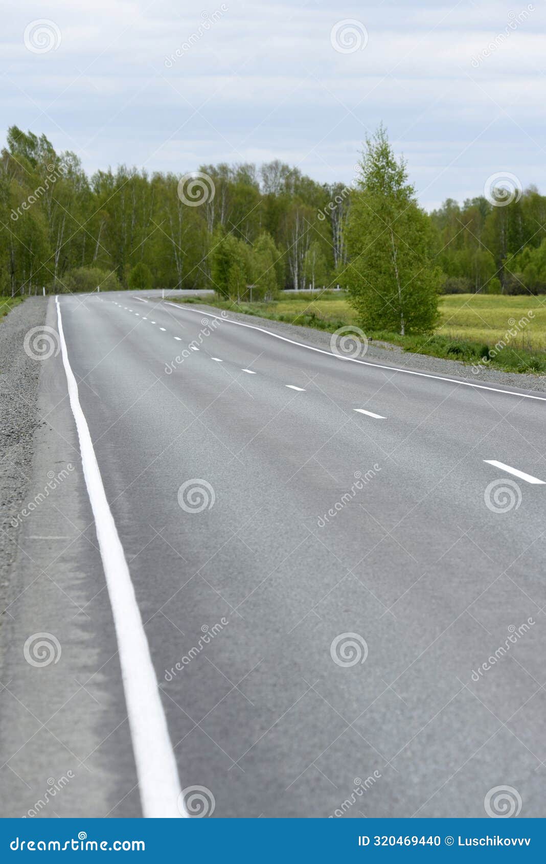High-speed Asphalt Road in the Spring Forest. Country Road Stock Photo ...