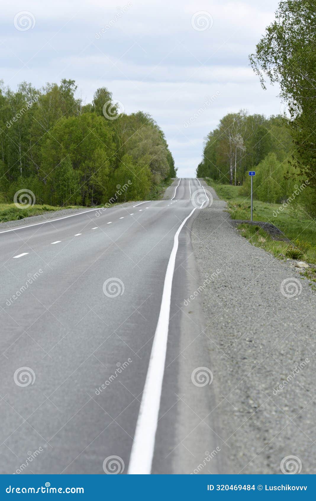 High-speed Asphalt Road in the Spring Forest. Country Road Stock Photo ...