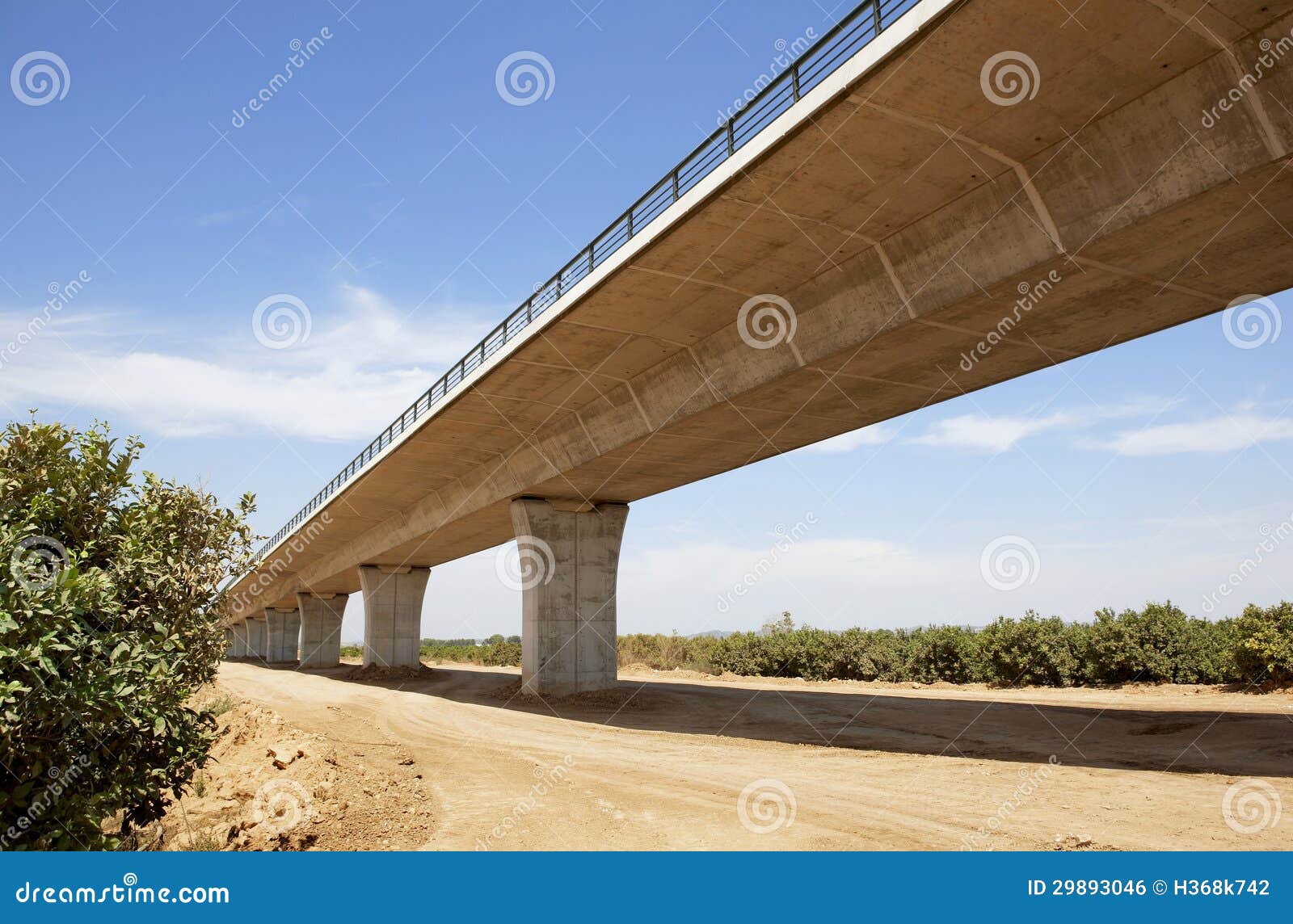 High Speed Bridge on Fields of Fruit Trees Stock Photo - Image of ...