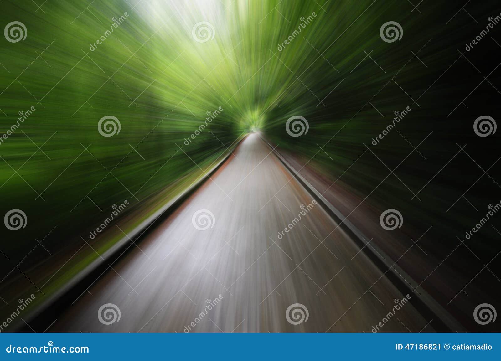 High Speed on Road with Trees Stock Image - Image of dream, dreamy ...
