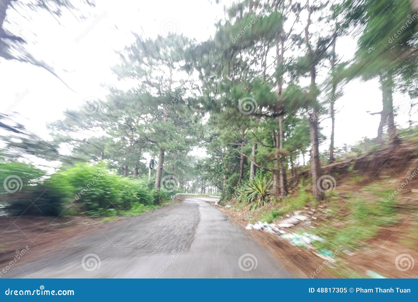 High Speed Running of Forest Road Stock Image - Image of accessibility ...