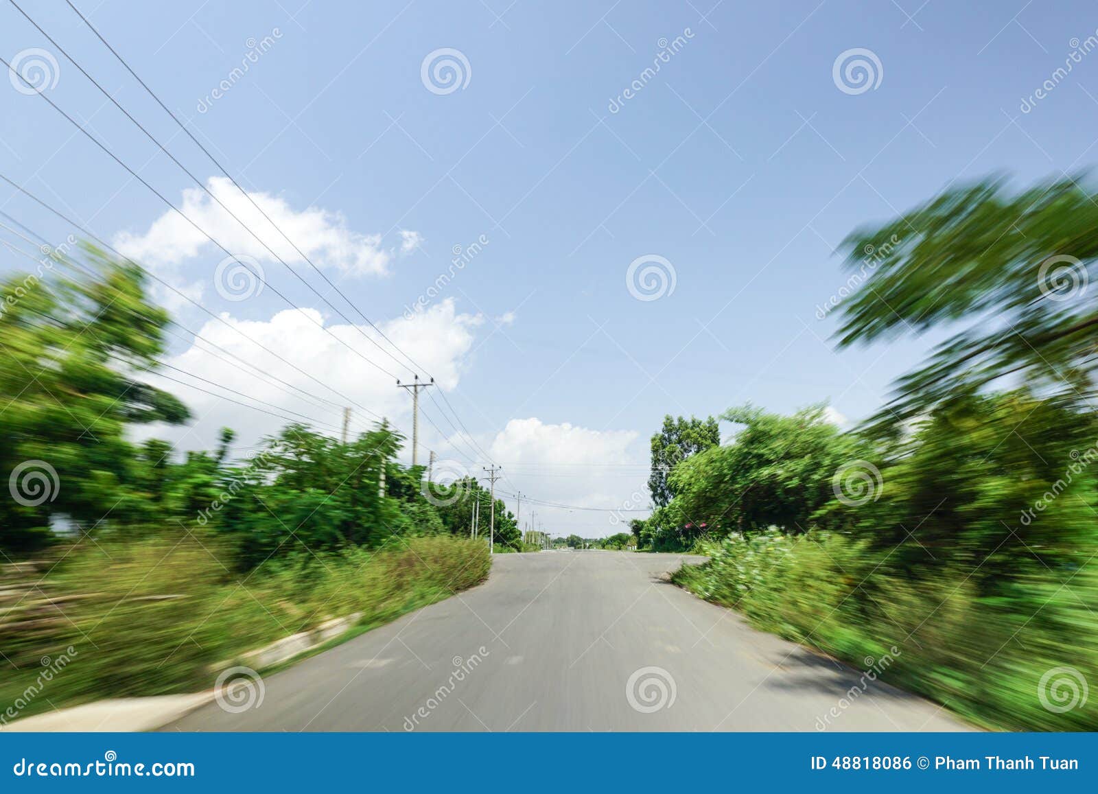High Speed Running of Forest Road Stock Photo - Image of high, middle ...