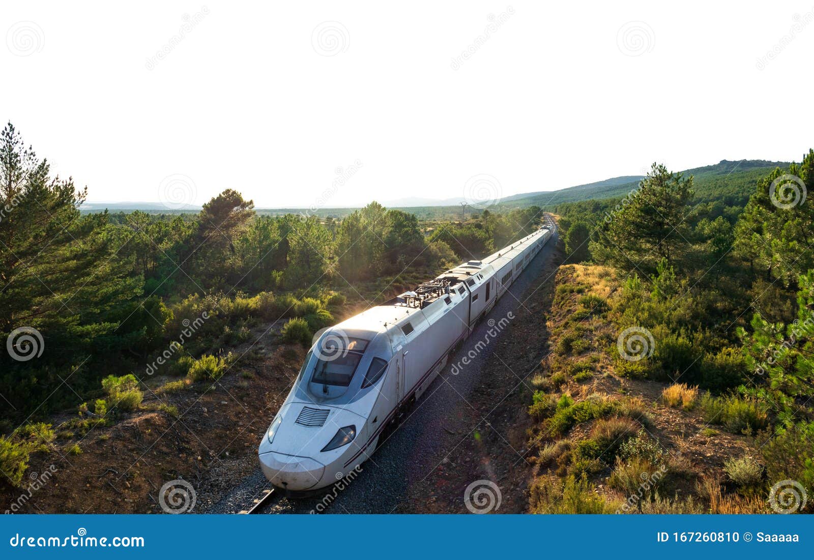 High Speed Train in the Middle of the Forest Stock Photo - Image of ...
