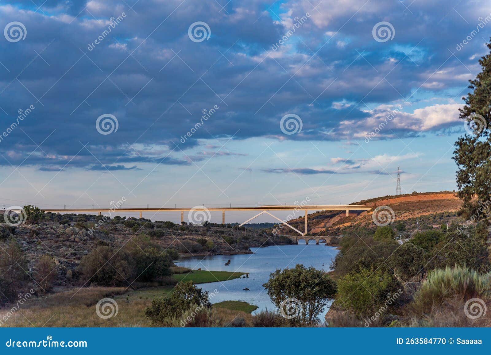 High Speed Train Bridge Over the River Stock Photo - Image of summer ...
