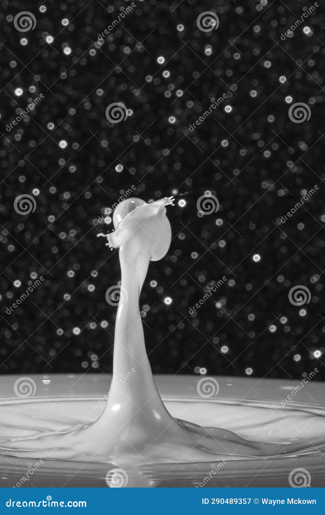 Milk drop stock image. Image of abstract, creative, graphic - 290489357