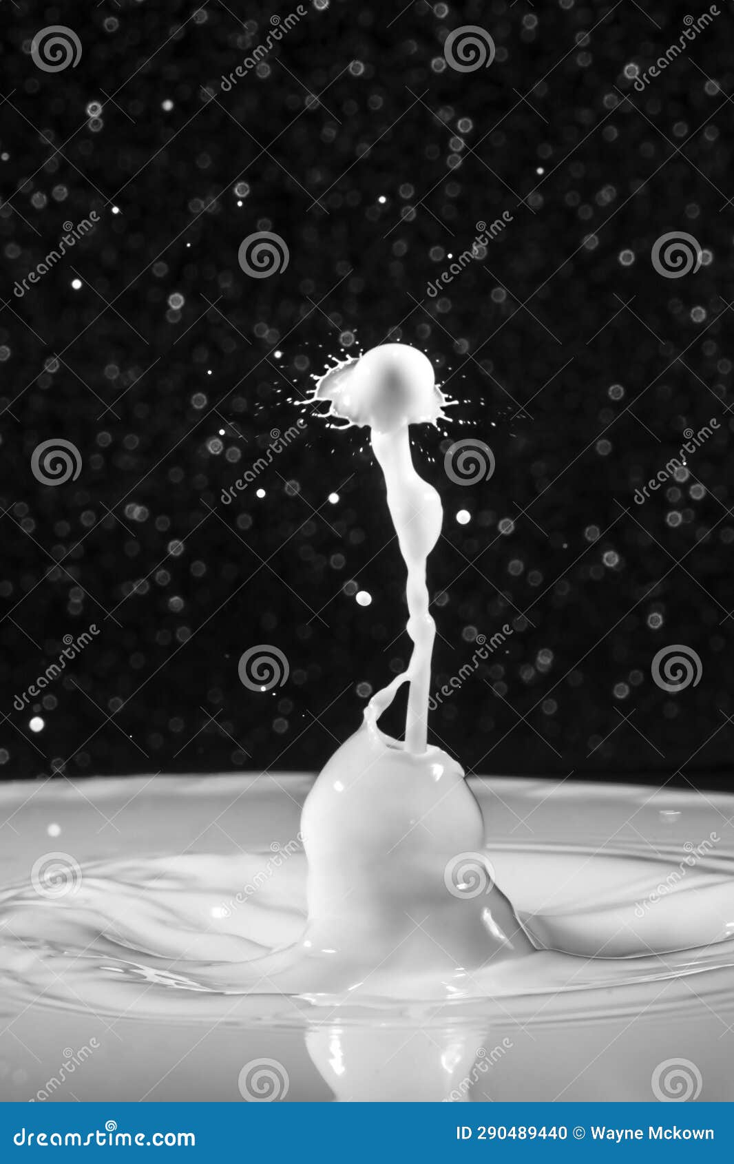 Milk drop stock photo. Image of background, ball, graphic - 290489440