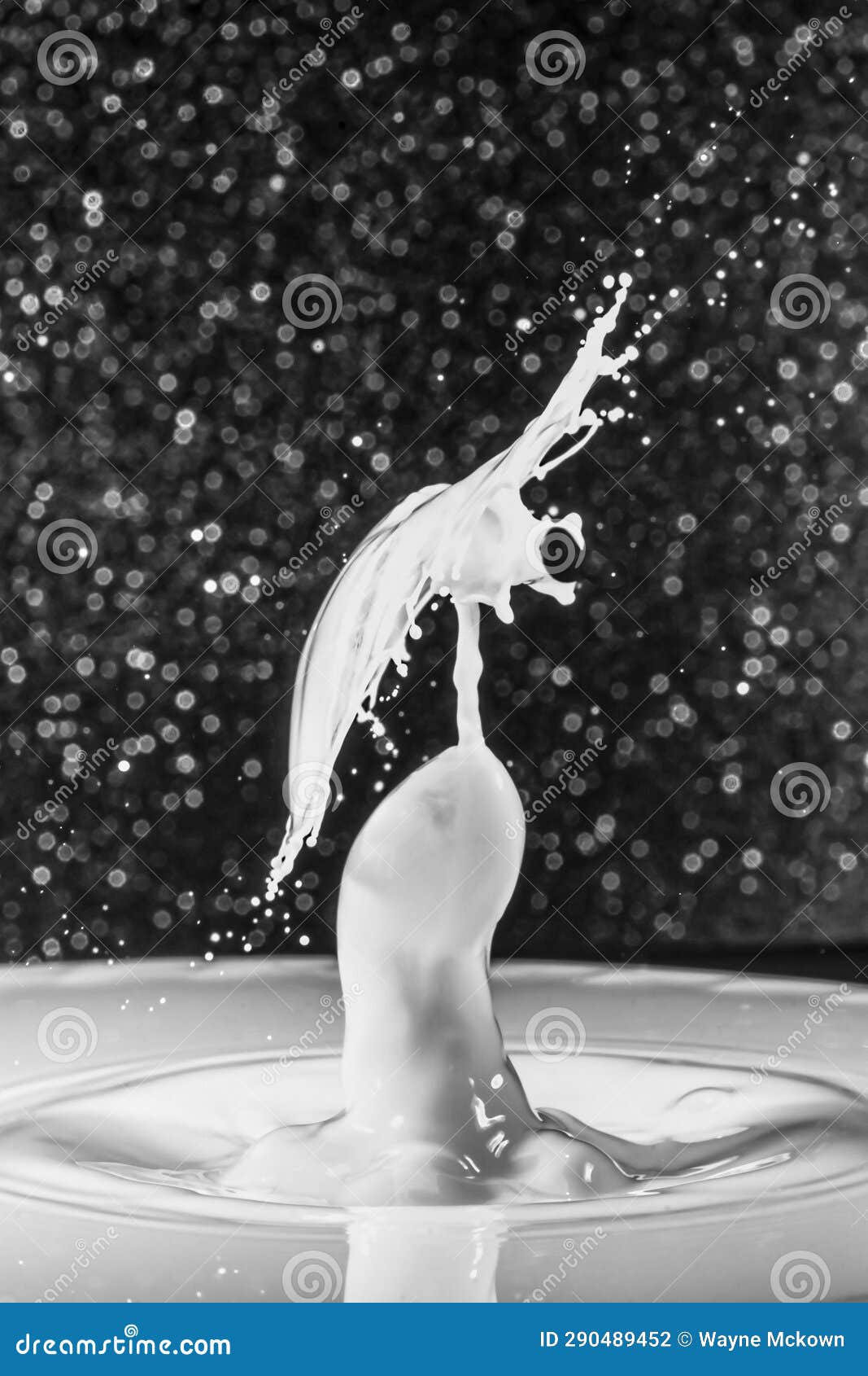 Milk drop stock photo. Image of fresh, backdrop, ball - 290489452