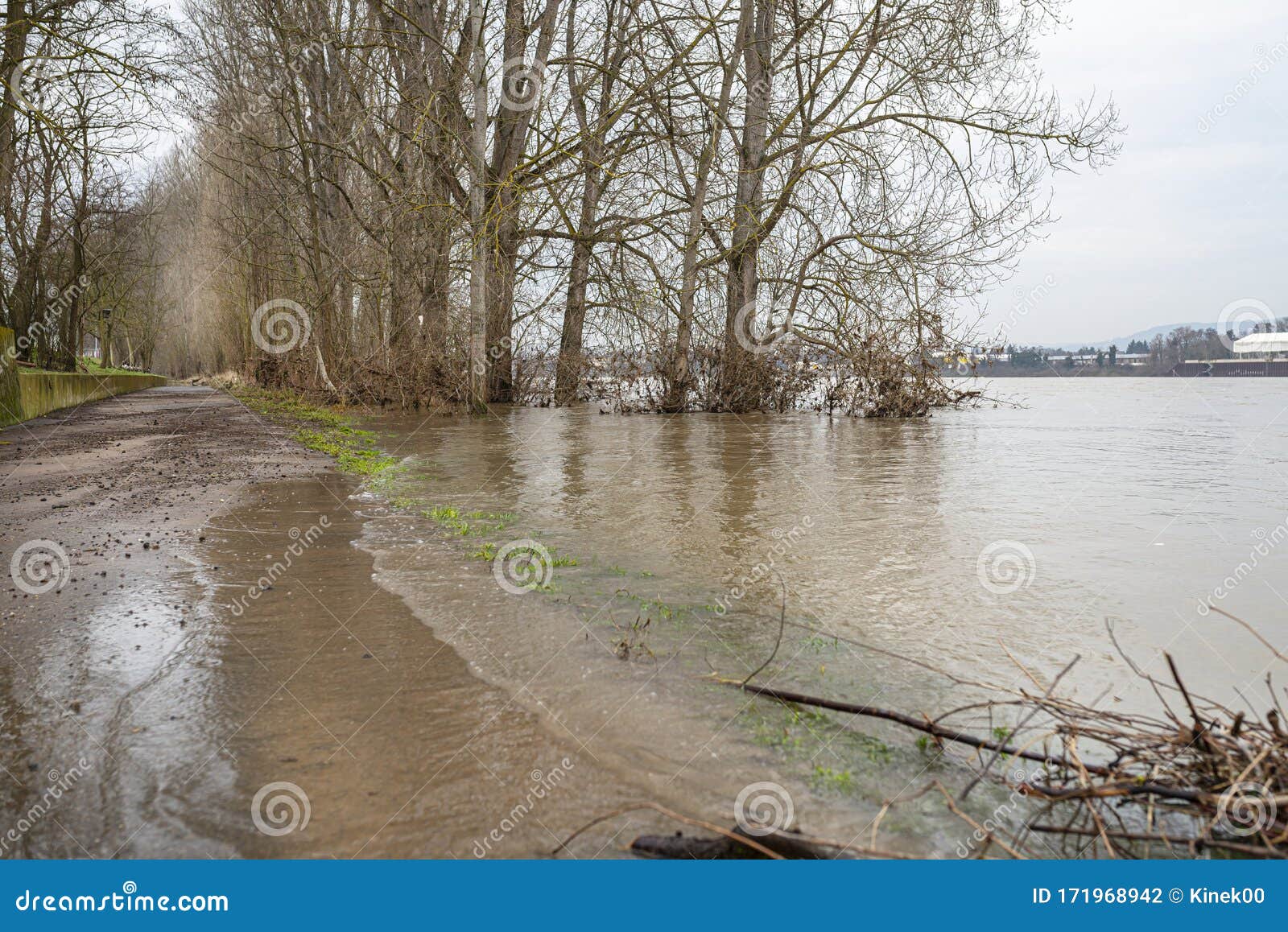 The High State of the River Rhine in Western Germany, Which Emerged ...