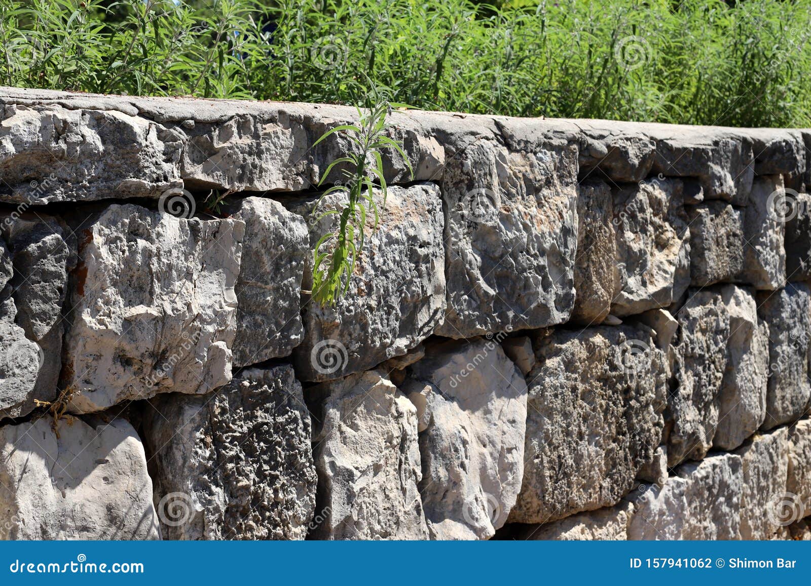 High Stone and Concrete Wall Stock Photo - Image of wall, fence: 157941062