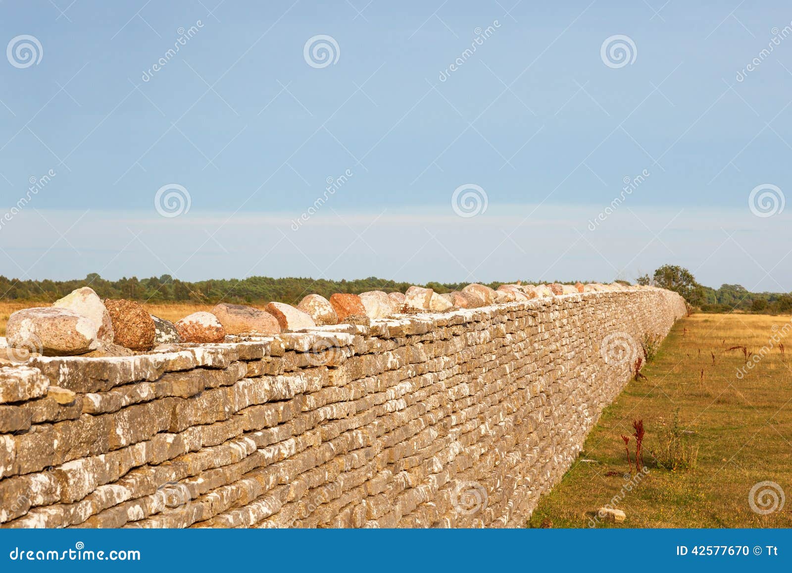 High stone wall stock photo. Image of stonewall, ottenby - 42577670