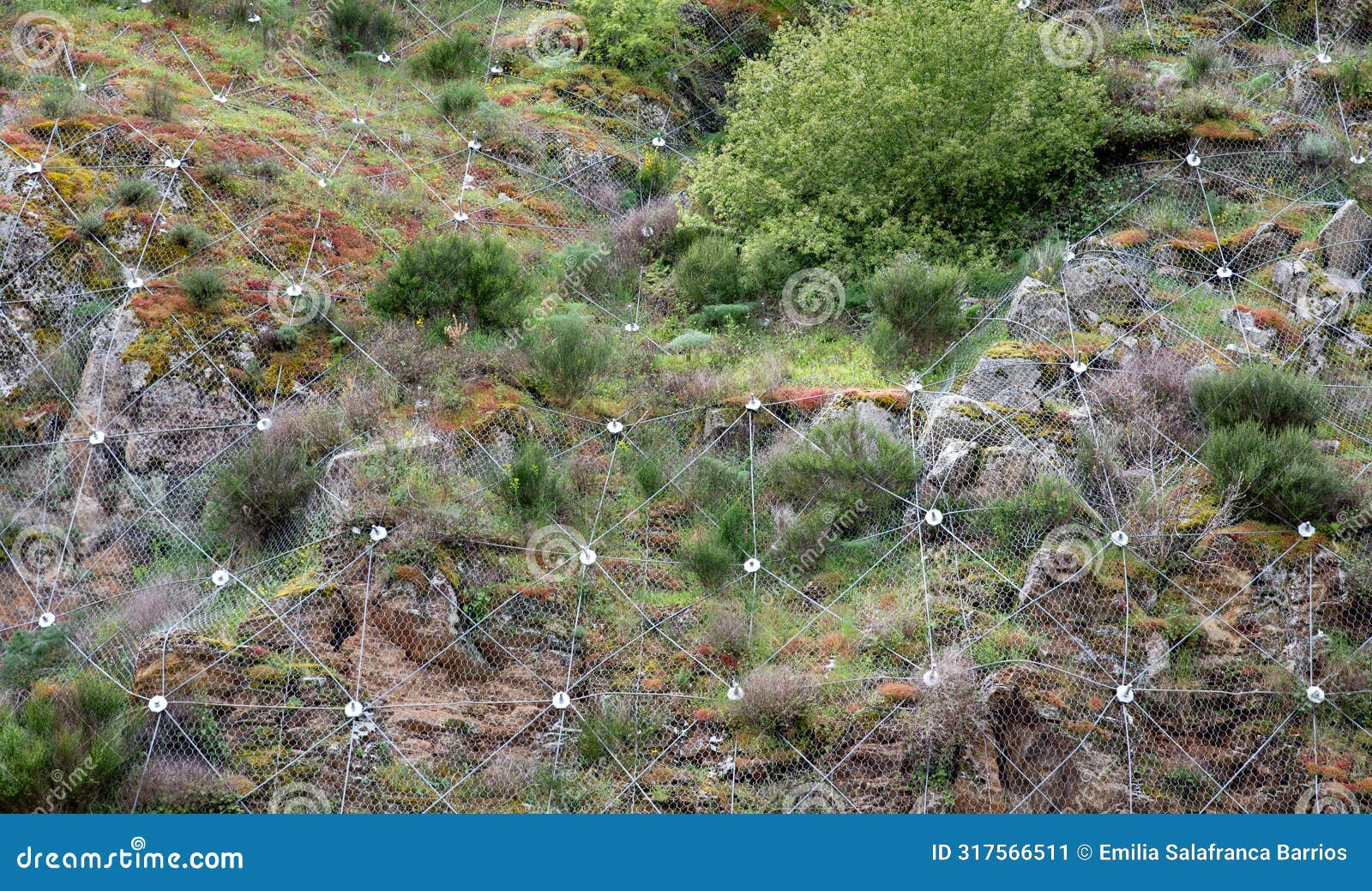 High-strength Rock Fall Protection Mesh in the Mountains Stock Image ...