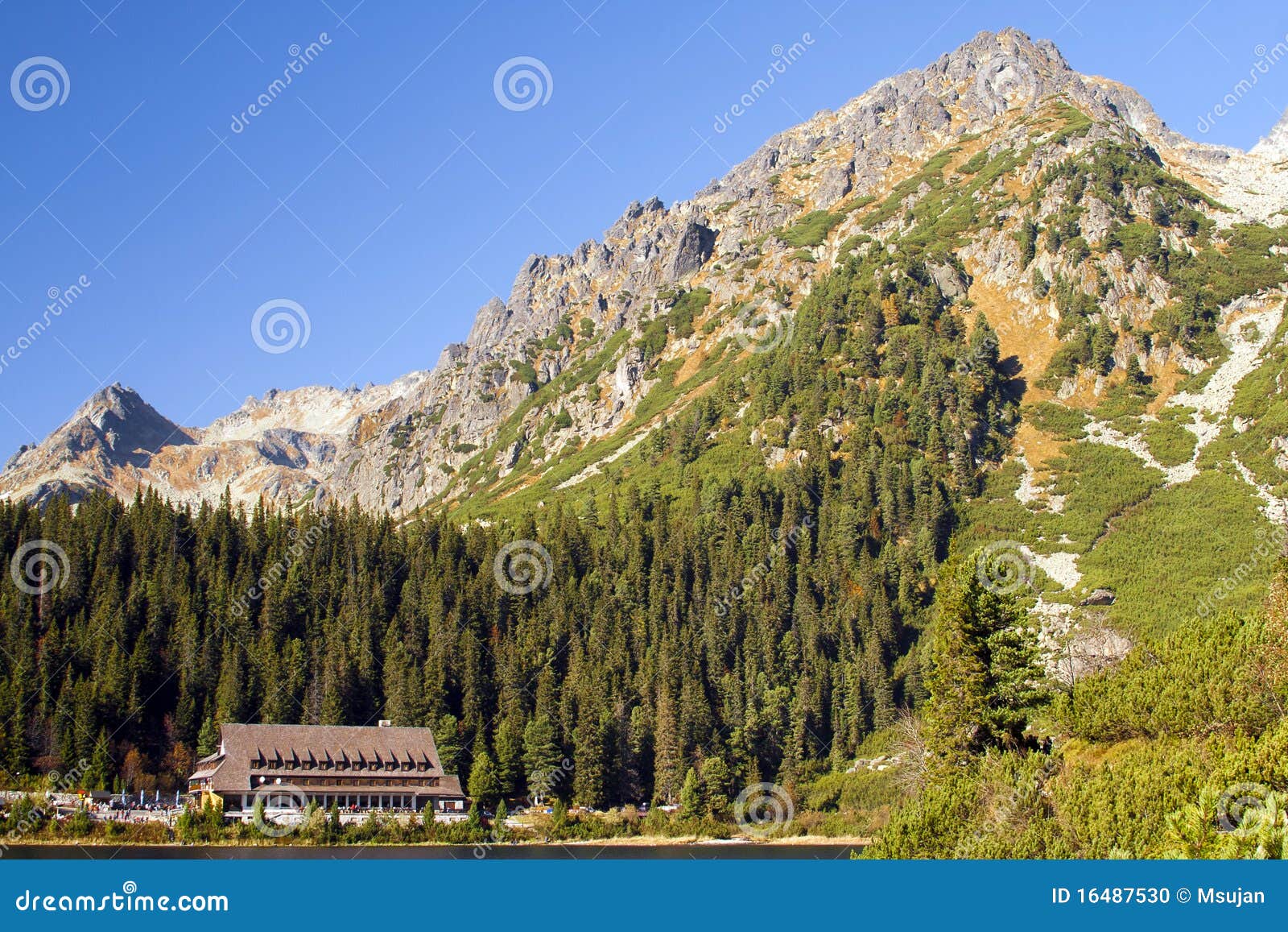 High Tatra stock photo. Image of high, green, landscape - 16487530