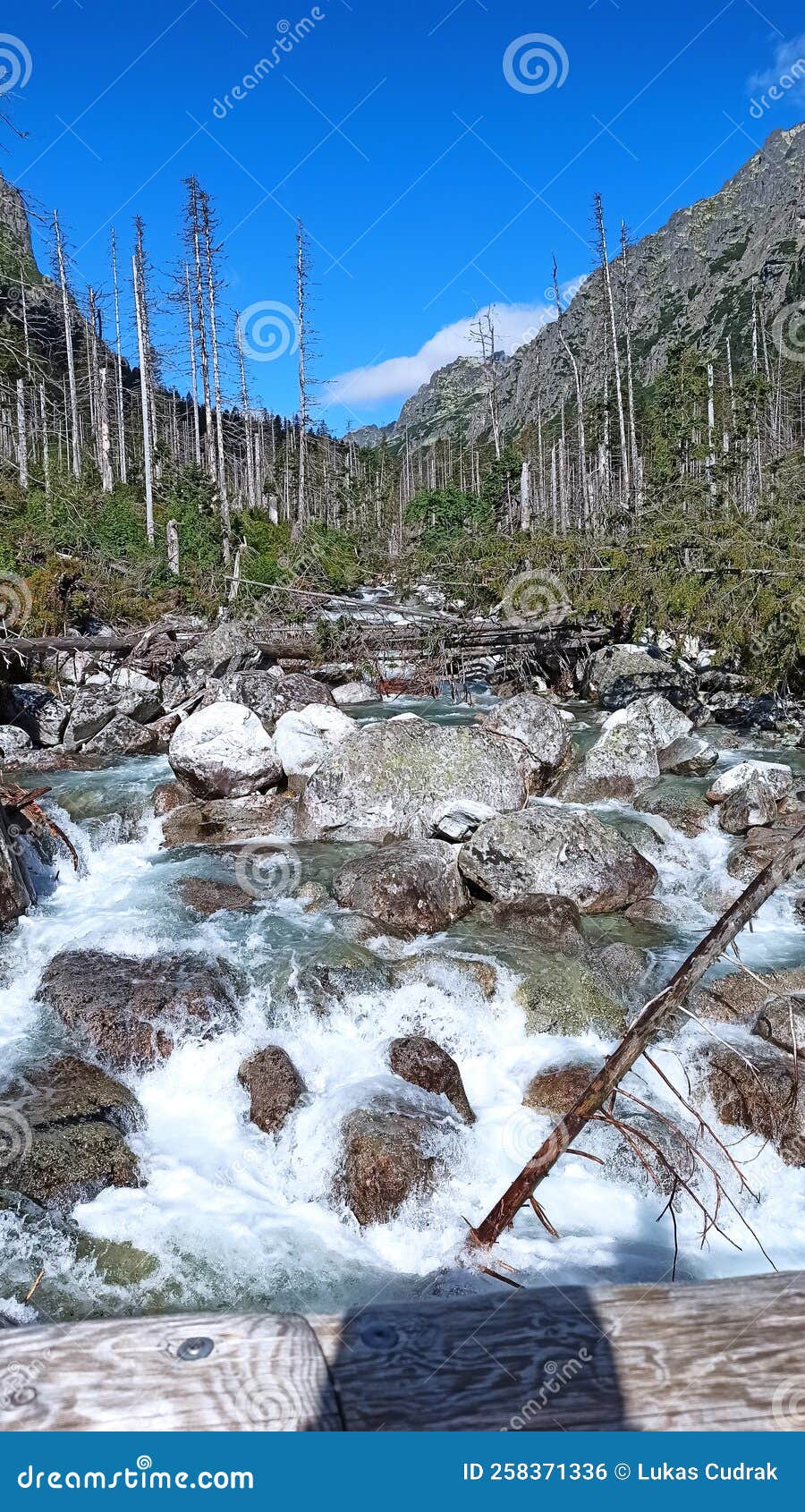 High Tatras Slovakia Mountain River Stock Photo - Image of autumn ...