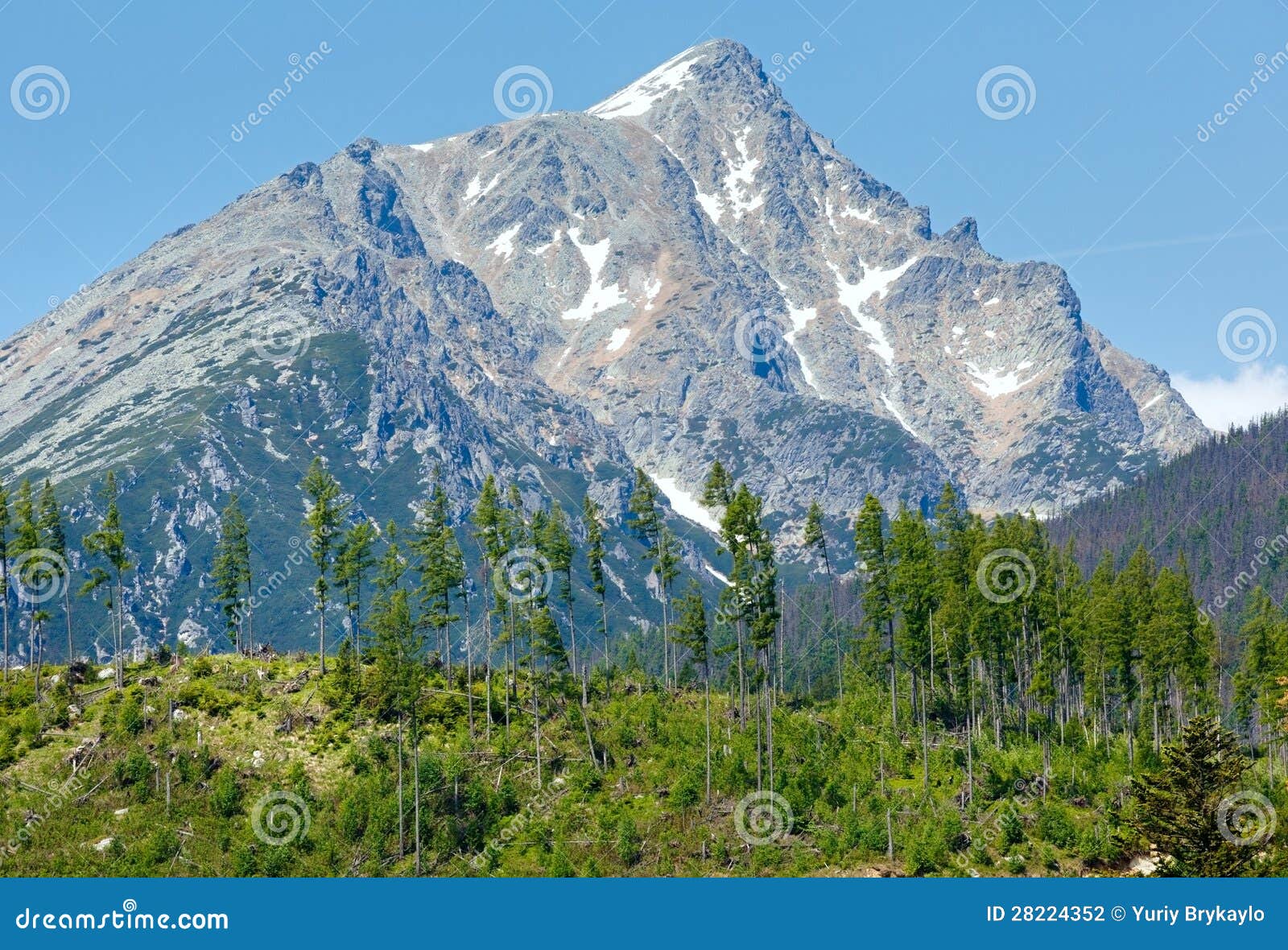 High Tatras (Slovakia) Spring View. Stock Photo - Image of spruce ...