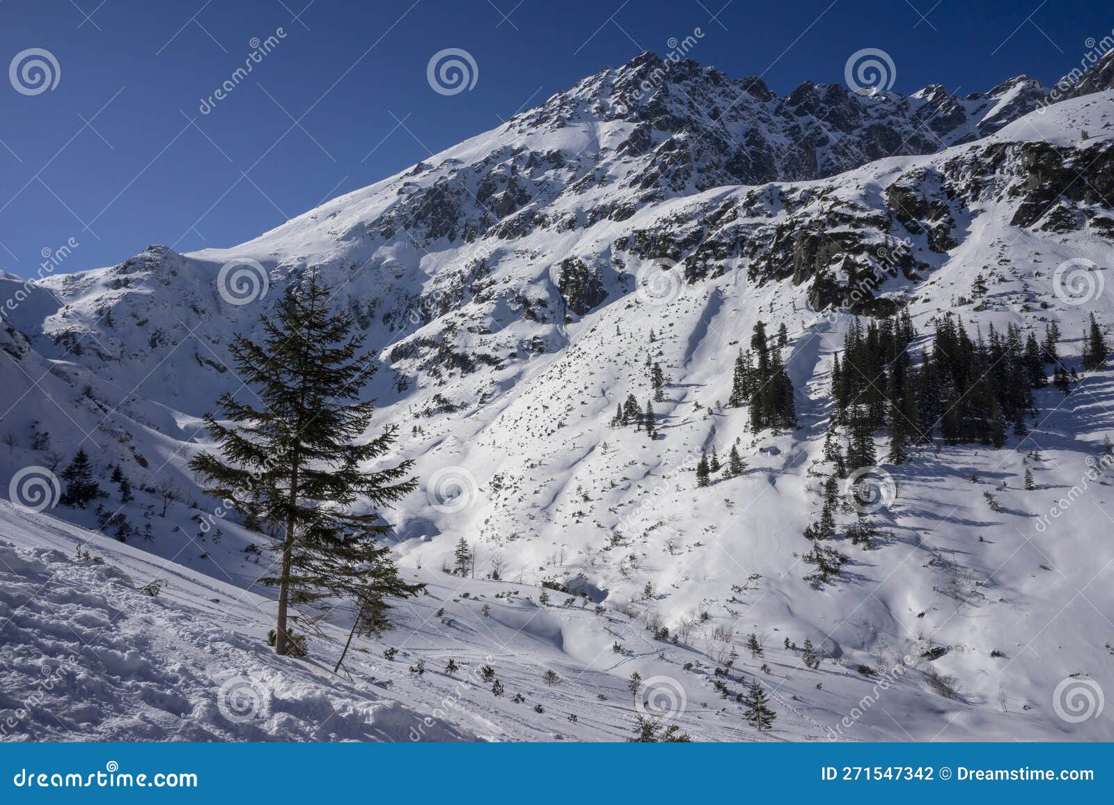 High Tatras in Winter. View on Kozi Wierch Peak Stock Photo - Image of ...