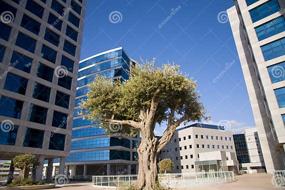 High-tech area stock image. Image of tree, area, office - 14681673