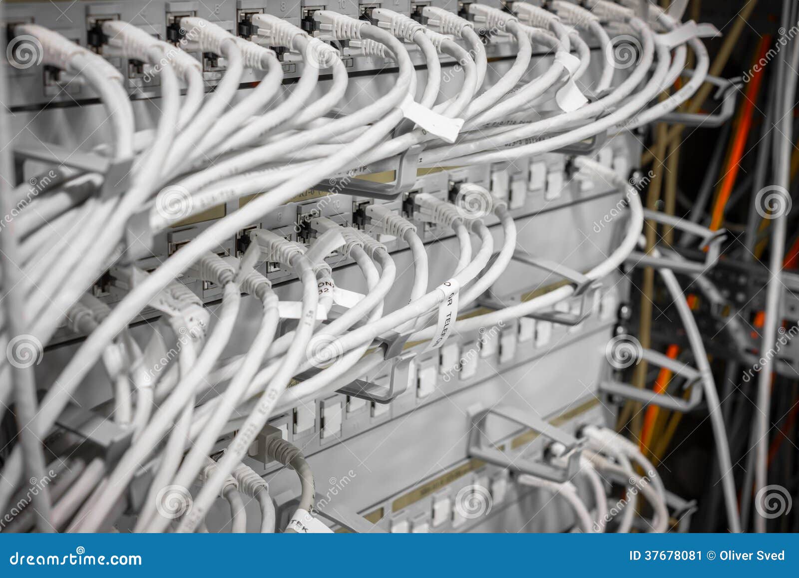 High tech network cables stock image. Image of switch - 37678081