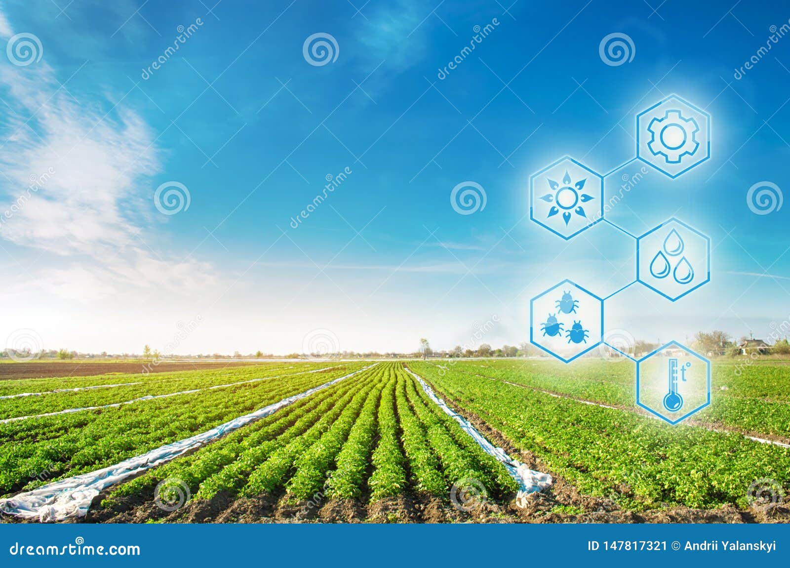 High Technologies and Innovations in Agro-industry. Study Quality of ...
