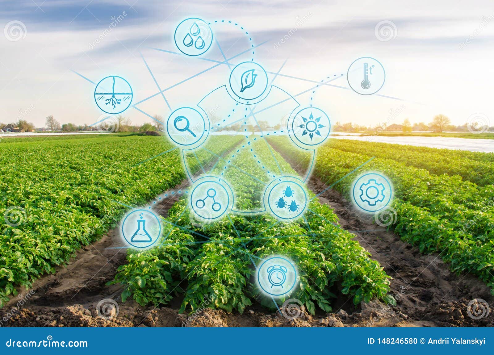 High Technologies and Innovations in Agro-industry. Study Quality of ...