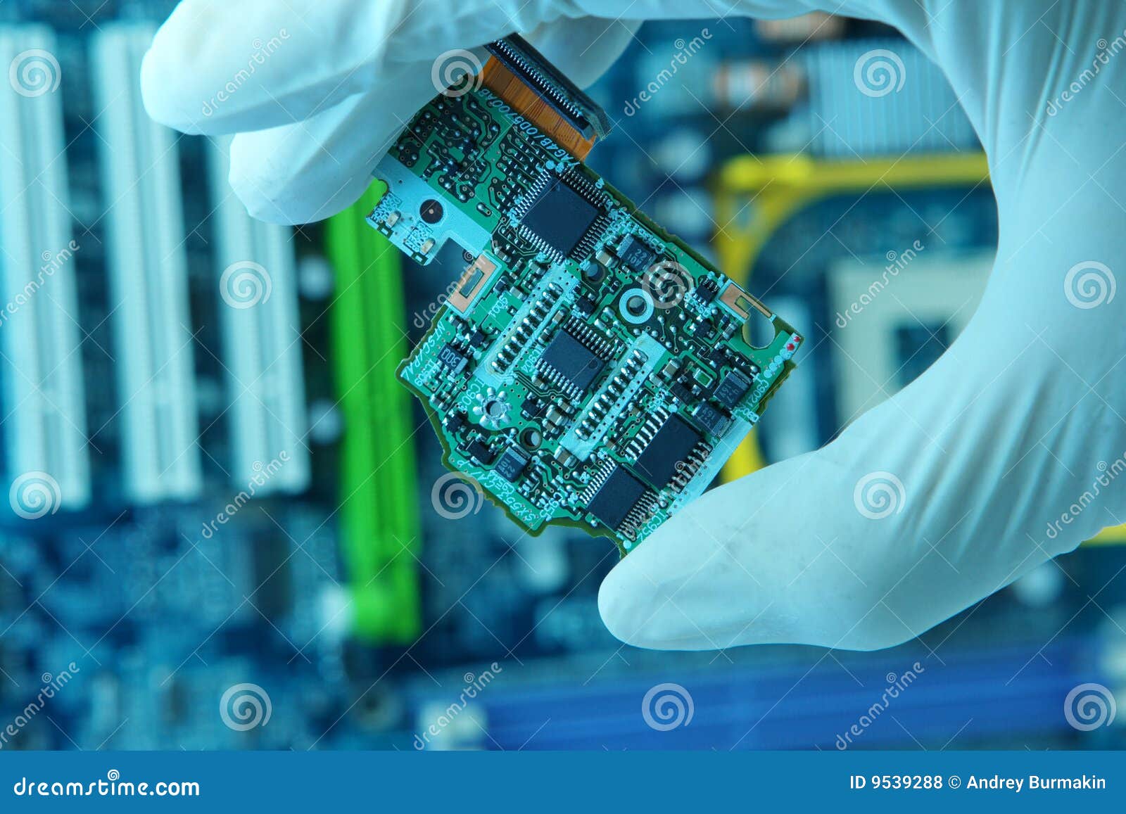 High technology chip stock photo. Image of glove, electro - 9539288