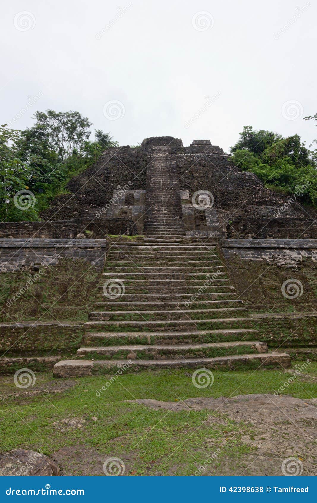 High Temple Pyramid stock photo. Image of brick, forest - 42398638