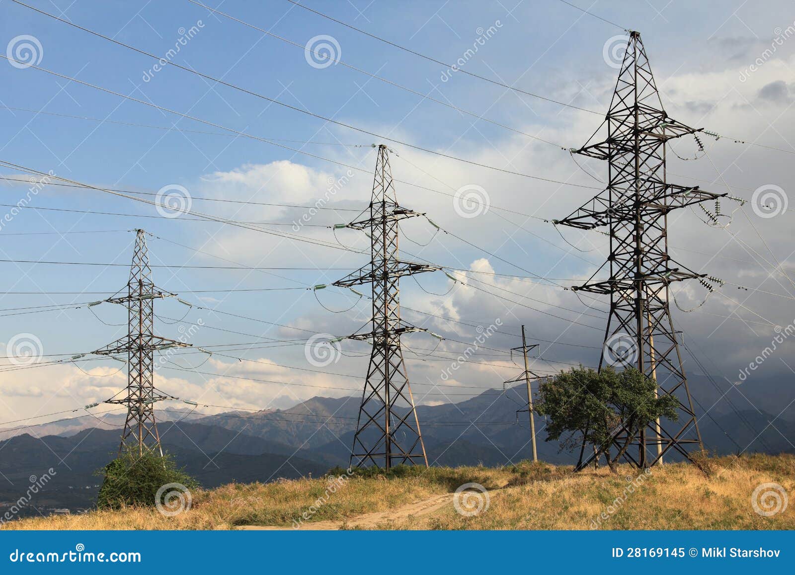 High-tension Lines of the Issues Stock Image - Image of tree, voltage ...