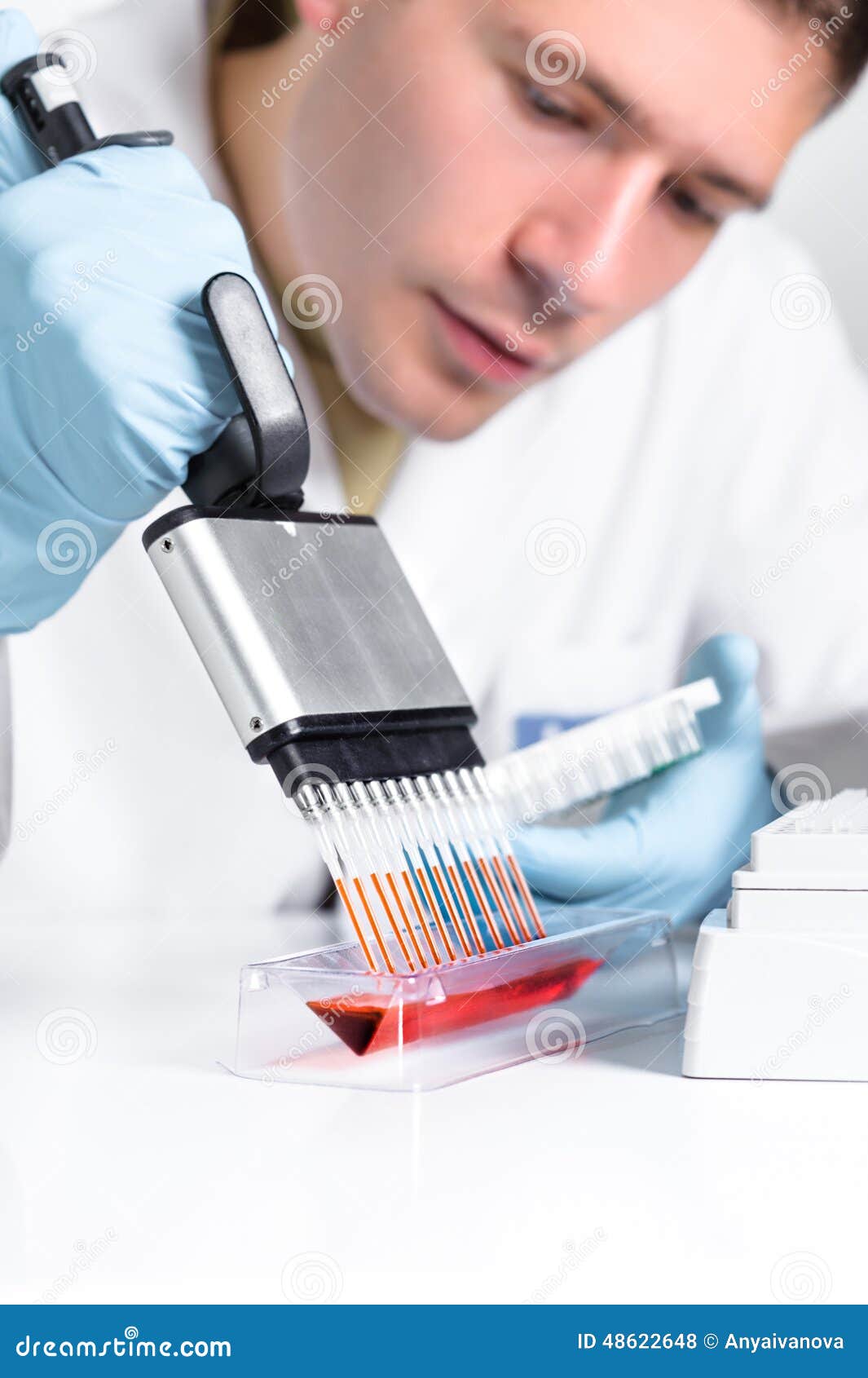 185 Setting Reaction Stock Photos - Free & Royalty-Free Stock Photos ...