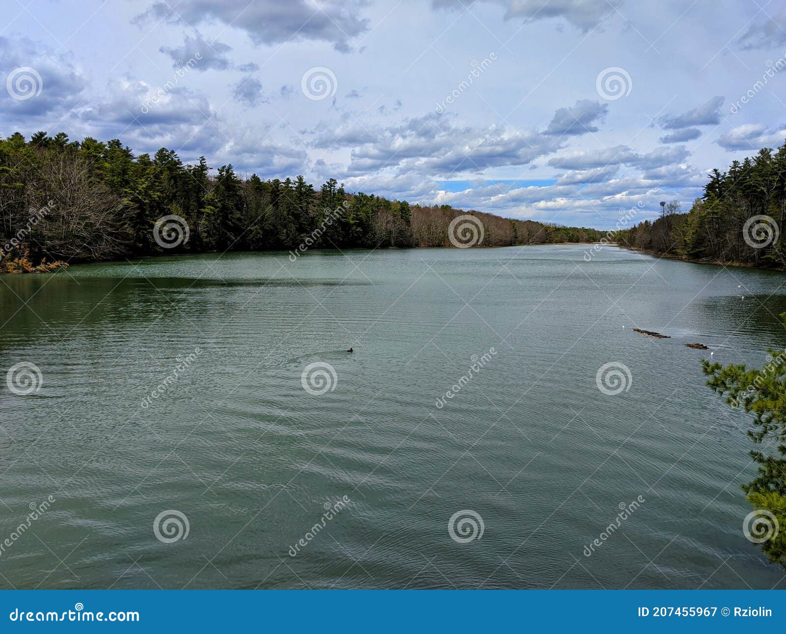 High tide river stock image. Image of river, coast, boat - 207455967