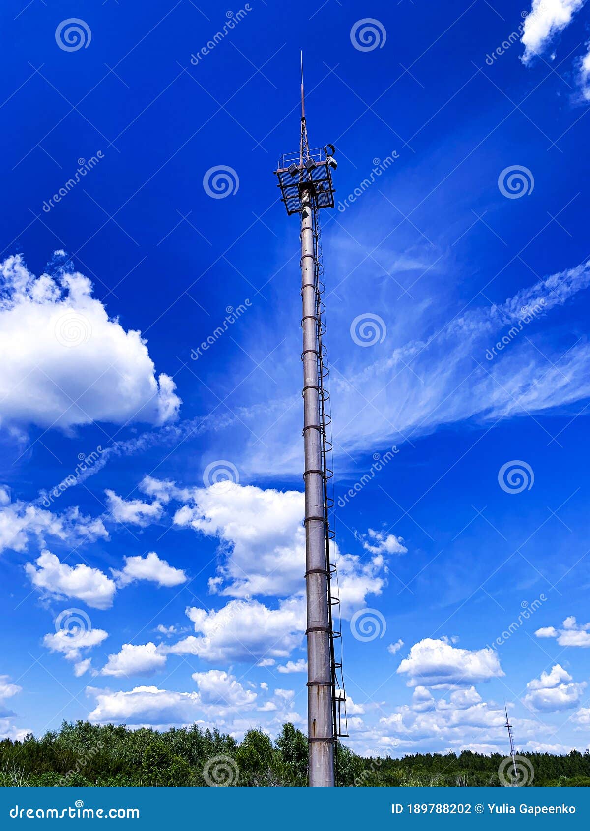 Lightning Protection System. Lightning Protection Components Conductors ...