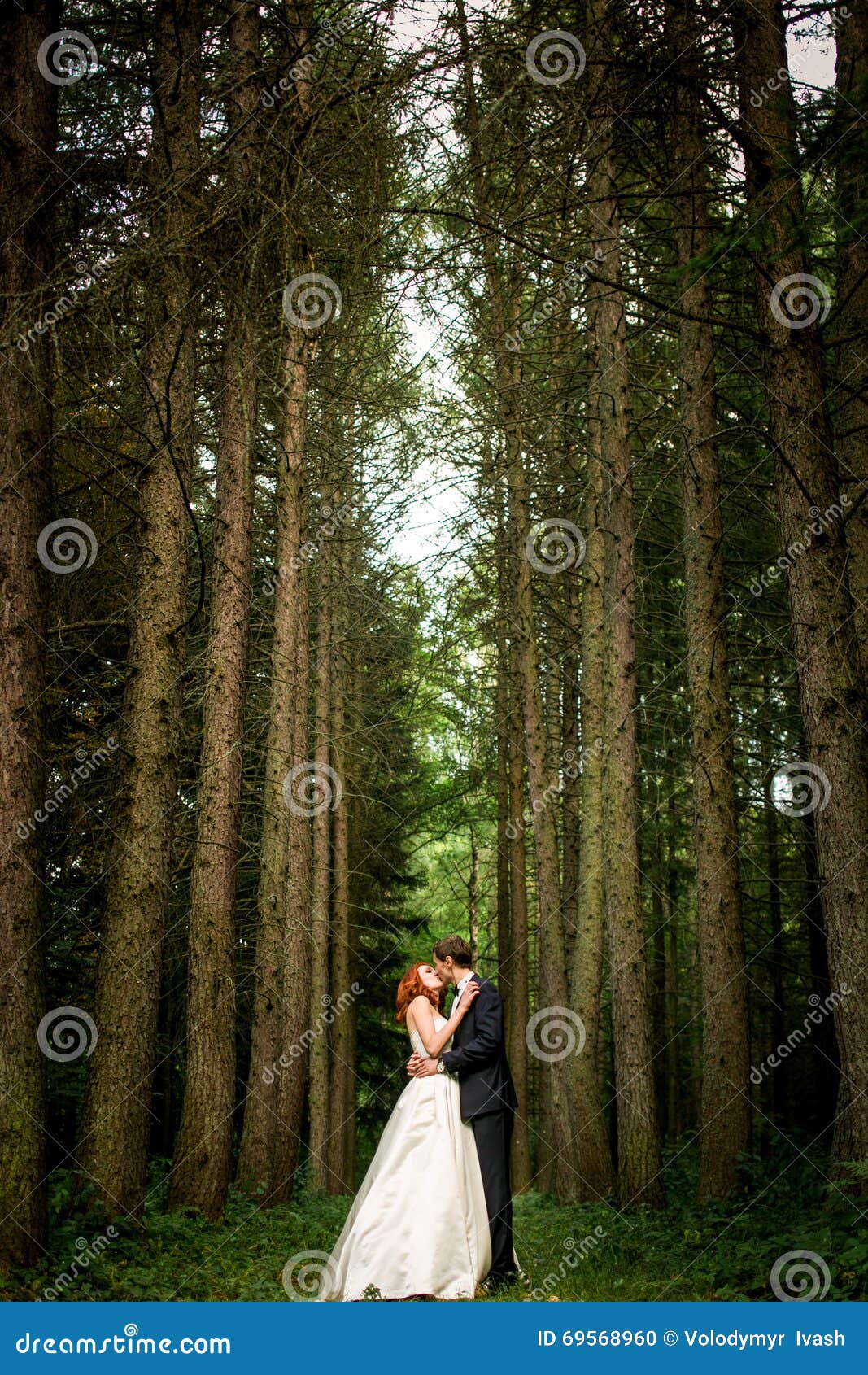 High Trees and Kiss of the Married Stock Photo - Image of modern ...