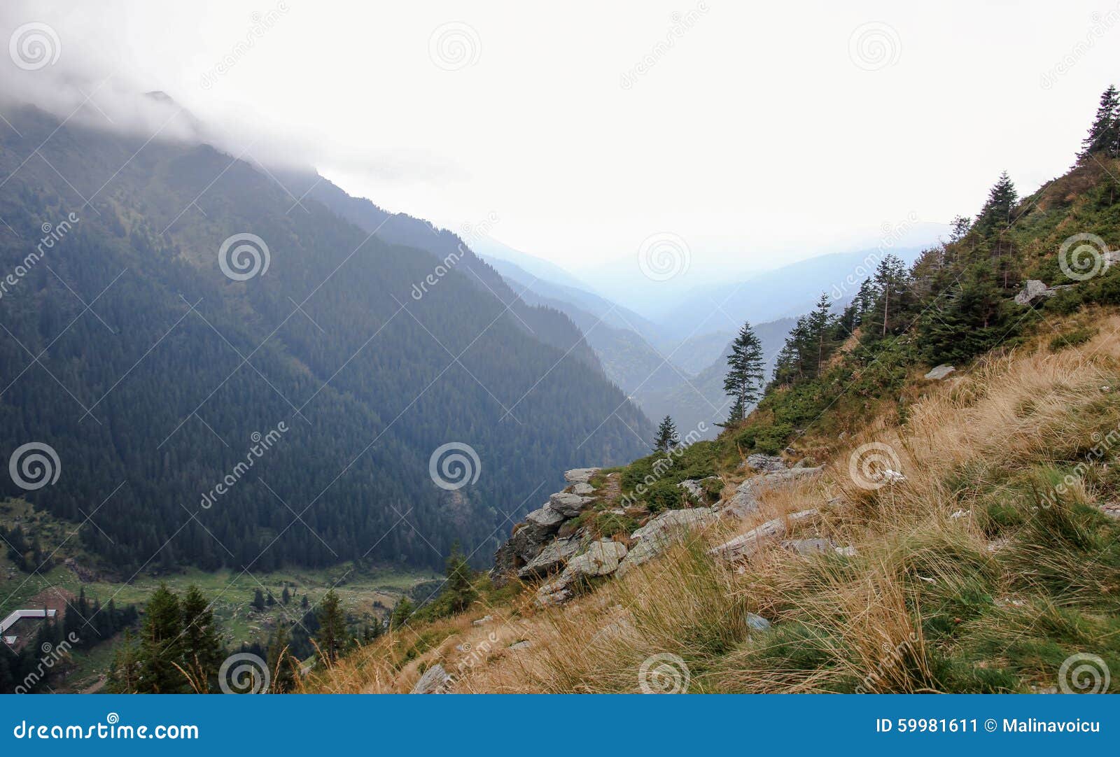 High up in the mountain stock image. Image of season - 59981611
