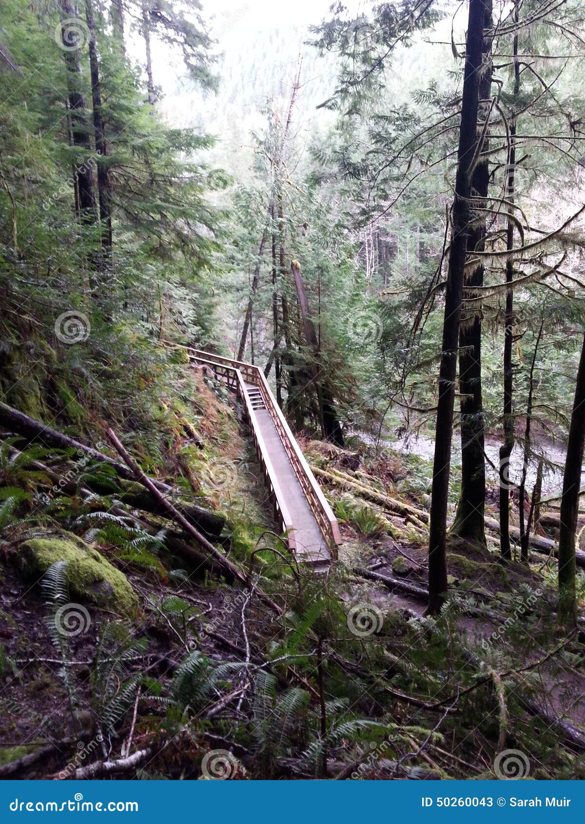 High up mountainside stock image. Image of mountainside - 50260043