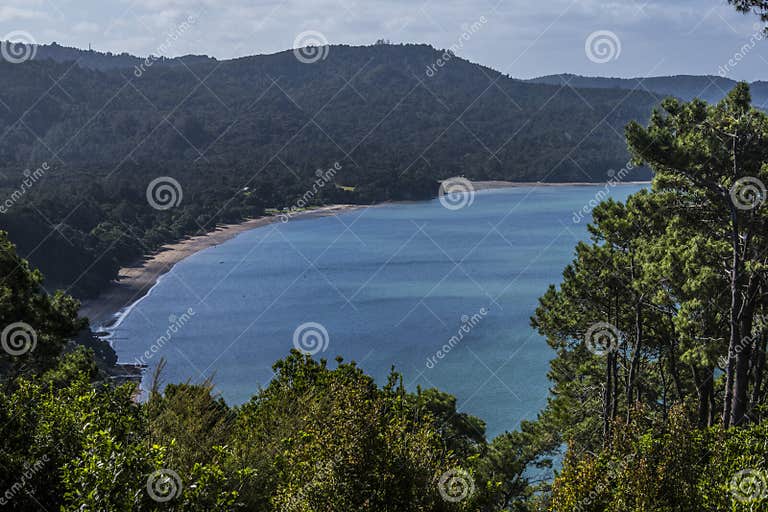 High View at the Cornwallis Beach with Waitakere Ranges at the Distance ...