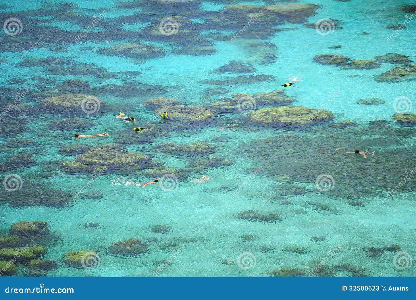 High View of Dive in Blue Sea Stock Image - Image of adventure ...