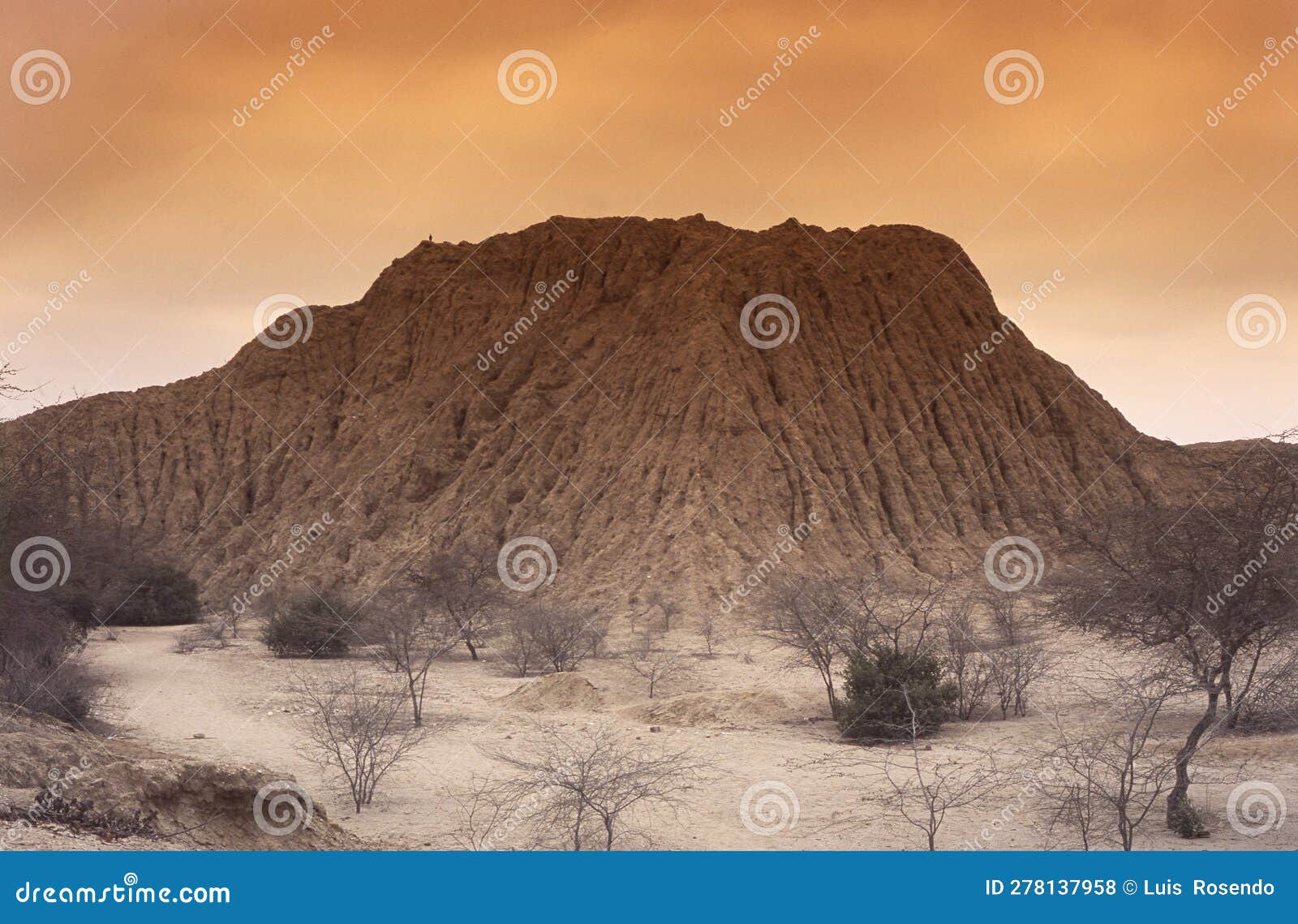 High View of the Pyramids of Tucume in Lambayeque - PERU Stock Photo ...