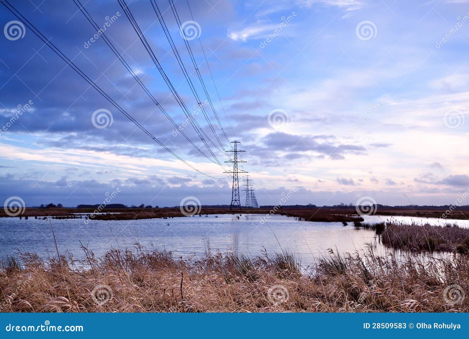 High-voltage Electric Line Over Swamp Stock Image - Image of landscape ...