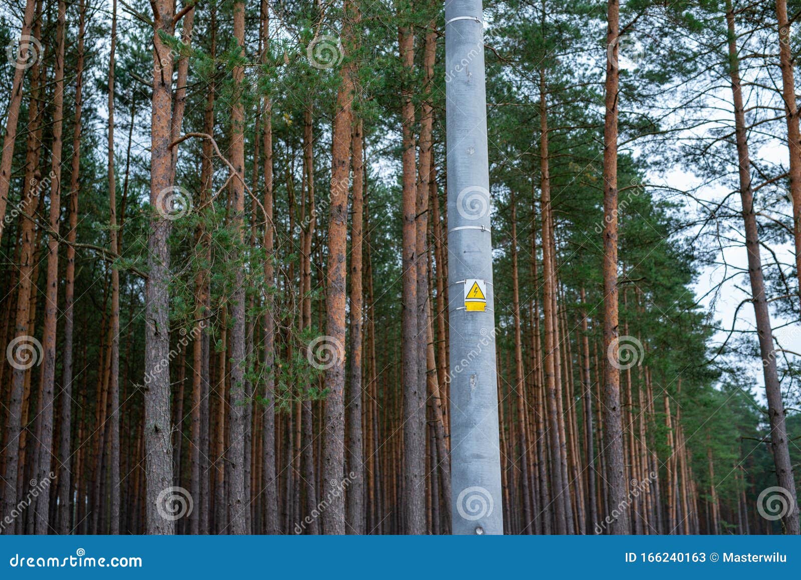 High Voltage Electric Pole in the Forest Stock Image - Image of ...