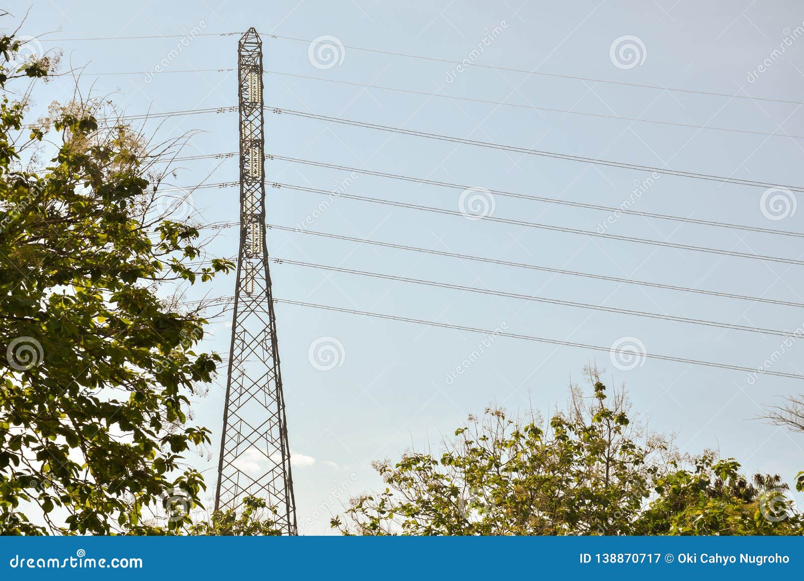 High Voltage Powerline and Tree Stock Image - Image of electrical ...