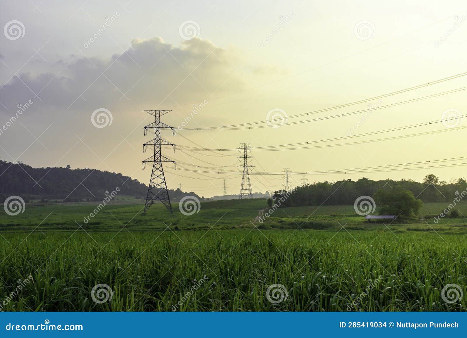 High Voltage Electricity Distribution Pole with Trees Shadow at Sunset ...