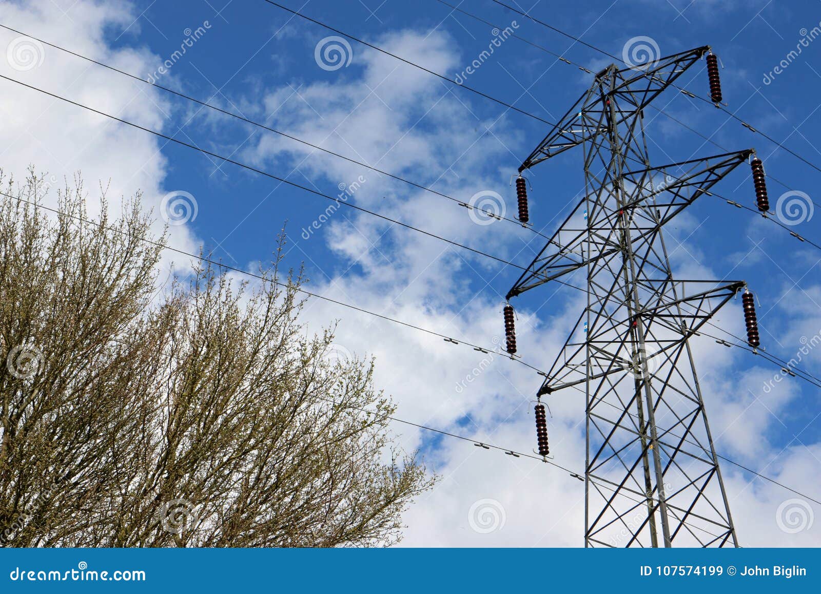 Electricity pylon and tree stock image. Image of electricity - 107574199