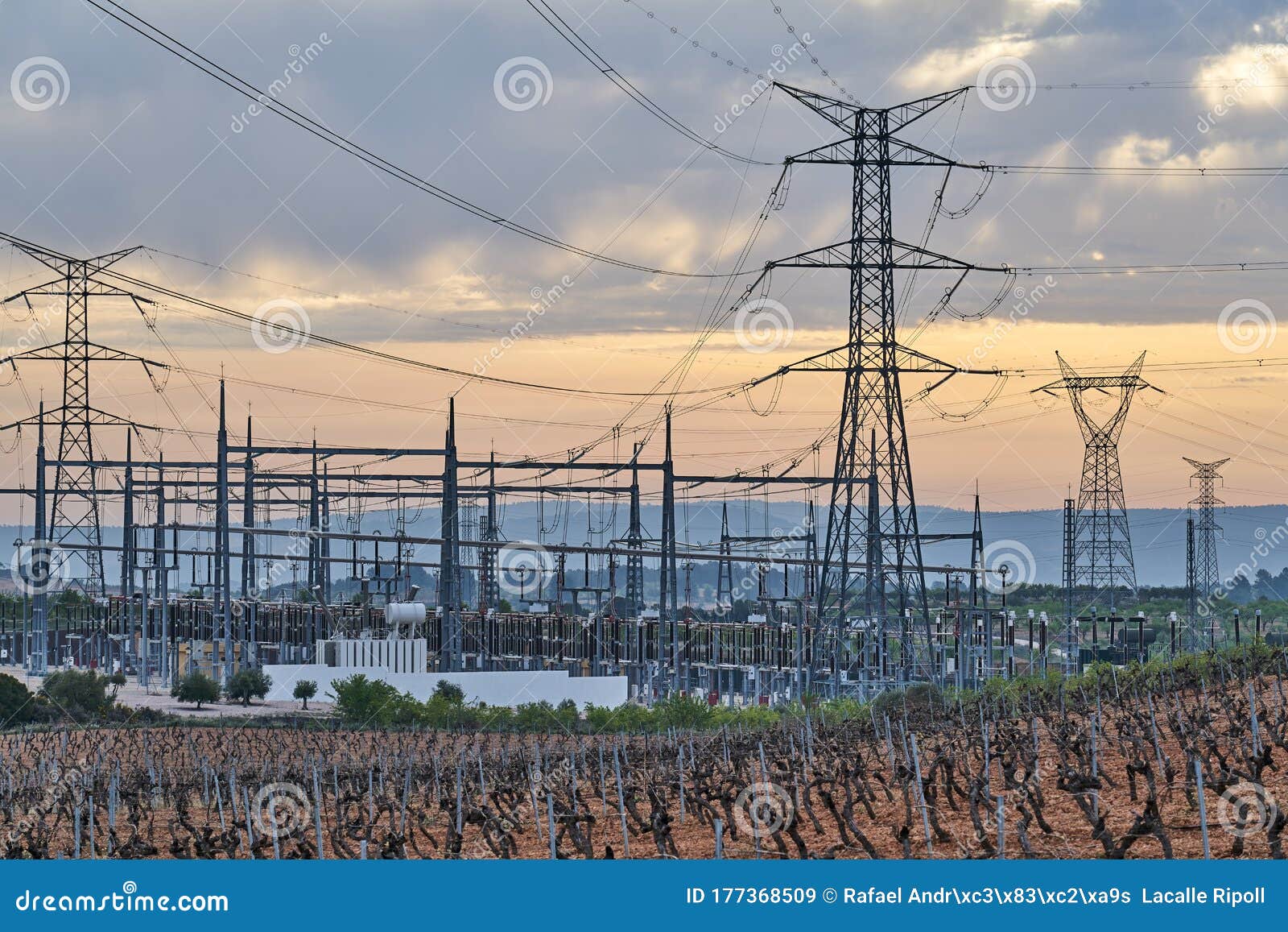 High Voltage Electricity Station Surrounded by Vineyards Stock Image ...