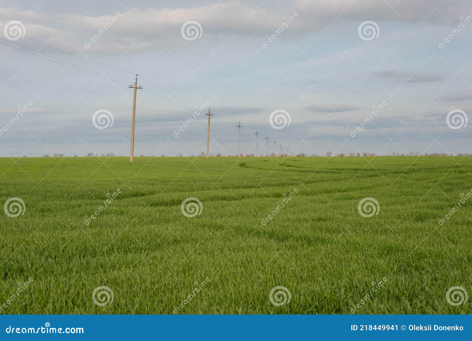 High Voltage Pillars in Green Grass Field Rustic Landscape of Pillars ...