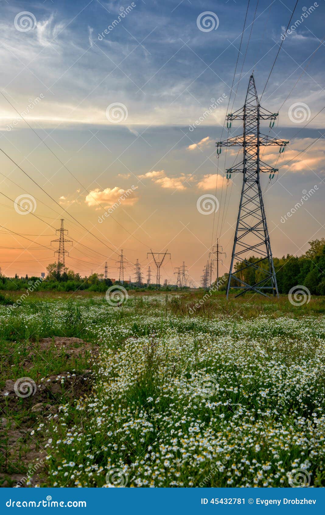High Voltage Power Line in Flower Meadow Stock Image - Image of ...
